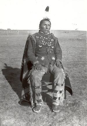 Chief Black Hawk Family Tree Black Hawk Indian Hi Res Stock